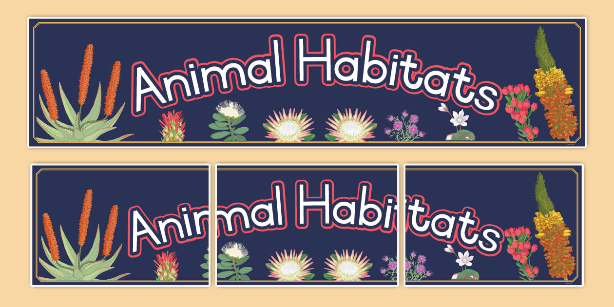 Fynbos-Themed Animal Habitats Display Banner (teacher made)