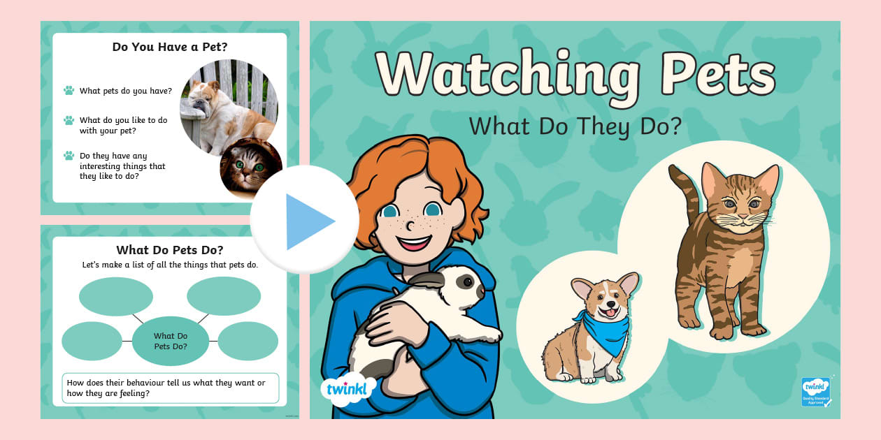 Watching Pets: What Do They Do? (STEM) (teacher made)