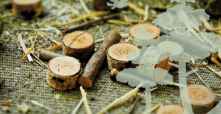 Outdoor Play Month | May 2026 | Twinkl - Twinkl