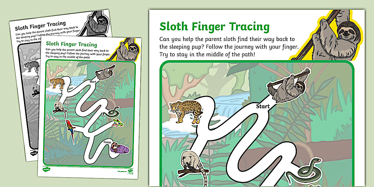 Sloth Finger Tracing Activity (Teacher-Made) - Twinkl