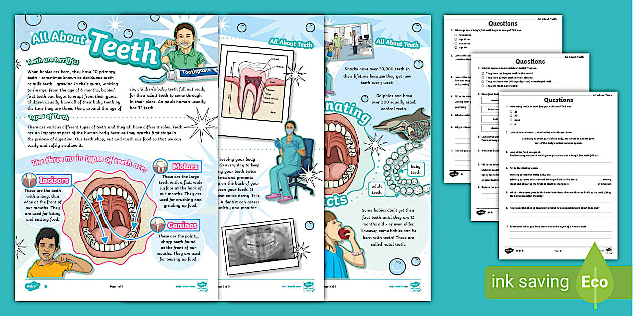 UKS2 All About Teeth Differentiated Reading Comprehension