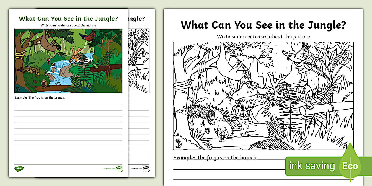 Editable Jungle Writing Stimulus Picture (teacher made)