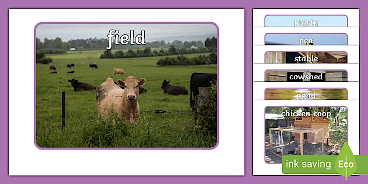 Farm Animal Homes Photo Pack (teacher made) - Twinkl