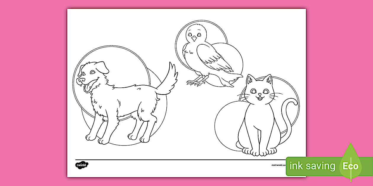 Pets Colouring | Colouring Sheets (Teacher-Made) - Twinkl