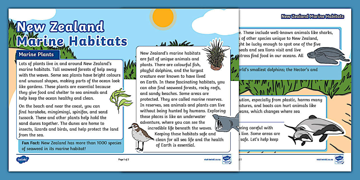 New Zealand Marine Habitats Fact File (teacher made)