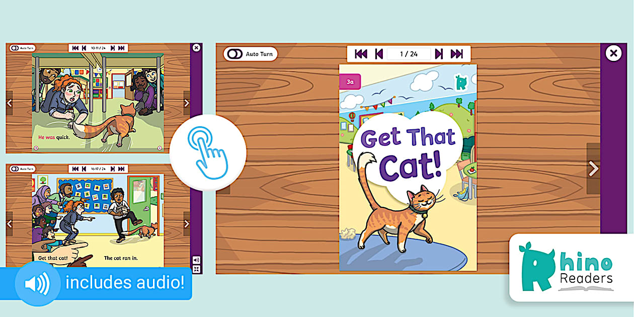 Level 3a Reading Scheme Book: Get That Cat! (teacher made)