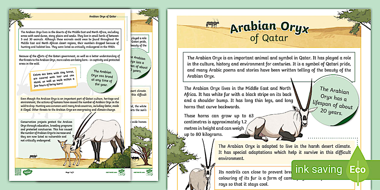 The Arabian Oryx of Qatar Fact File (teacher made) - Twinkl