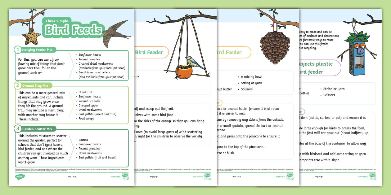 Three Simple Bird Feeder and Food Ideas (teacher made)