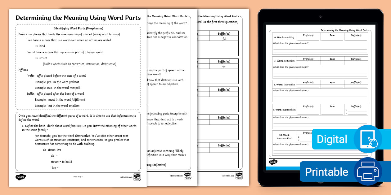 Word Parts | ELA | Twinkl USA (teacher made) - Twinkl