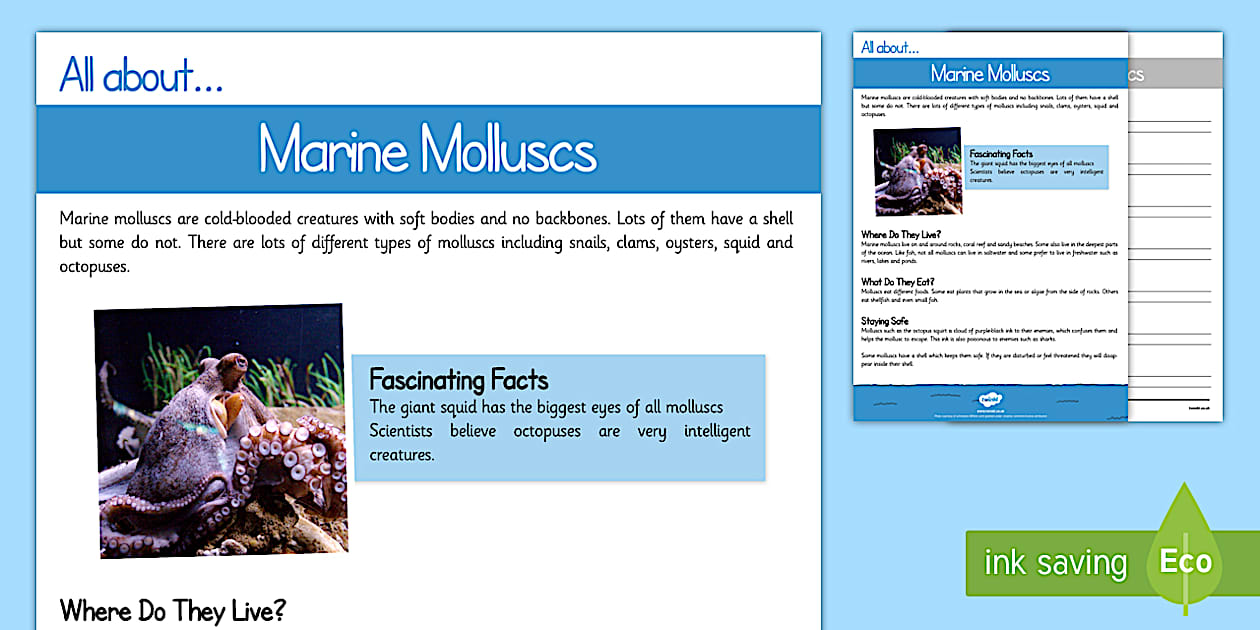 Marine Molluscs Differentiated Reading Comprehension Activity