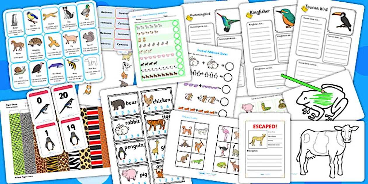 Animals Activity Pack (teacher made) - Twinkl