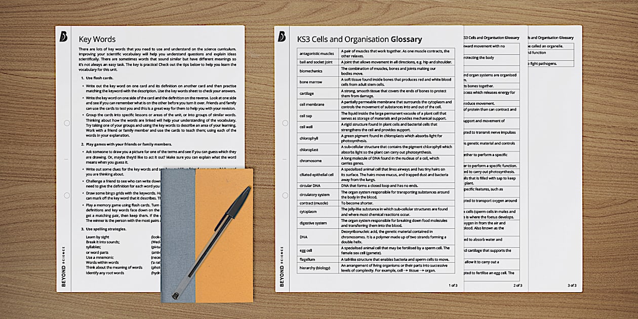 KS3 Cells and Organisation Glossary | KS3 Biology | Beyond