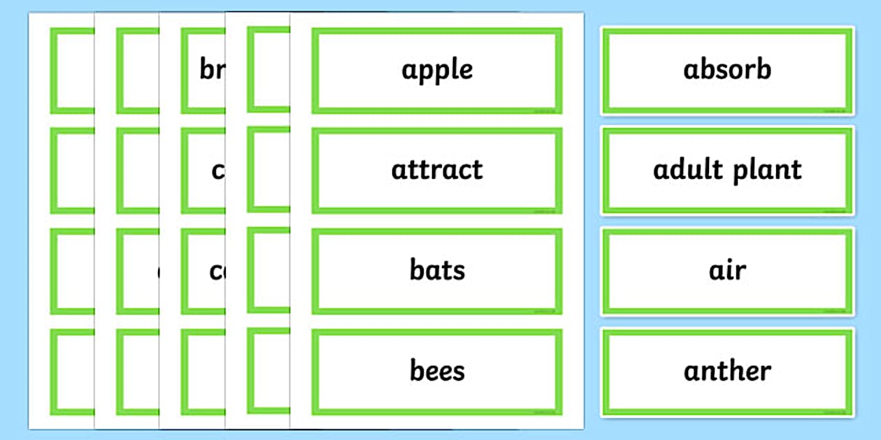 Editable Plants In Action Word Wall Display Cards - Twinkl