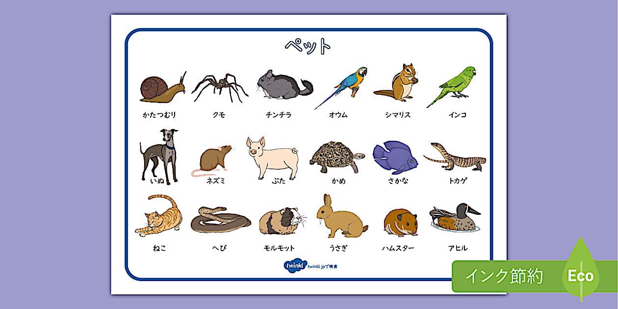 ペット 単語シート 日本語 Pets Word Mat Japanese
