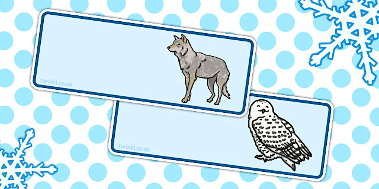 Editable Polar Animals Drawer Peg Name Labels (teacher made)