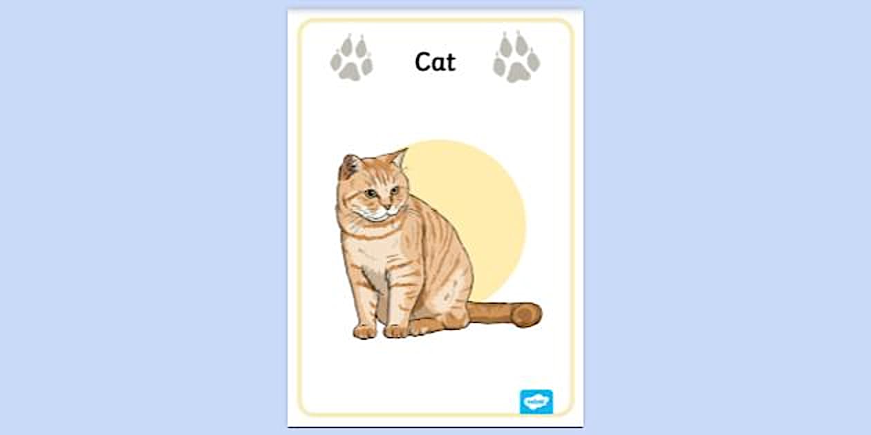 Printable Cat Display Poster | Educational Resource | Twinkl