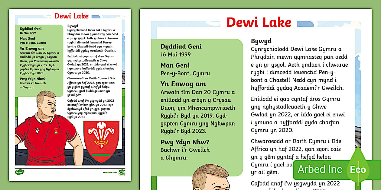 Ffeil Ffeithiau Dewi Lake (Teacher-Made) - Twinkl