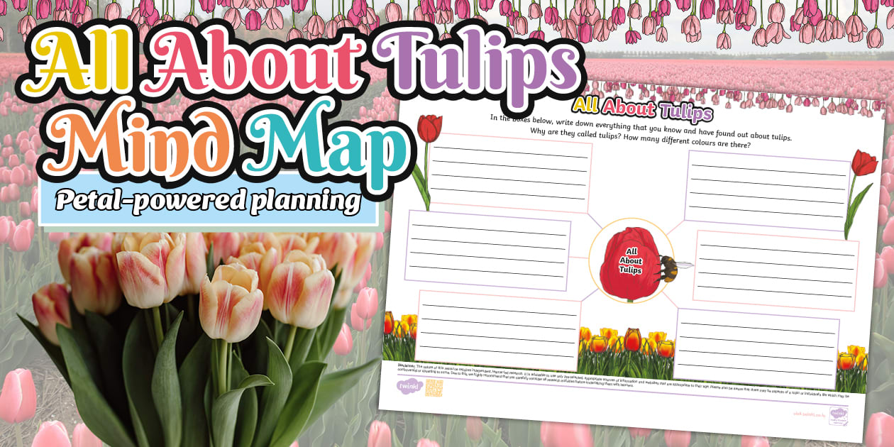 All About Tulips Mind Map