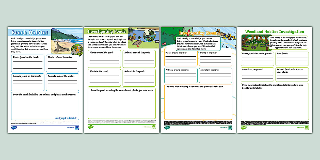 Habitat Investigation Worksheet Pack (Teacher-Made) - Twinkl