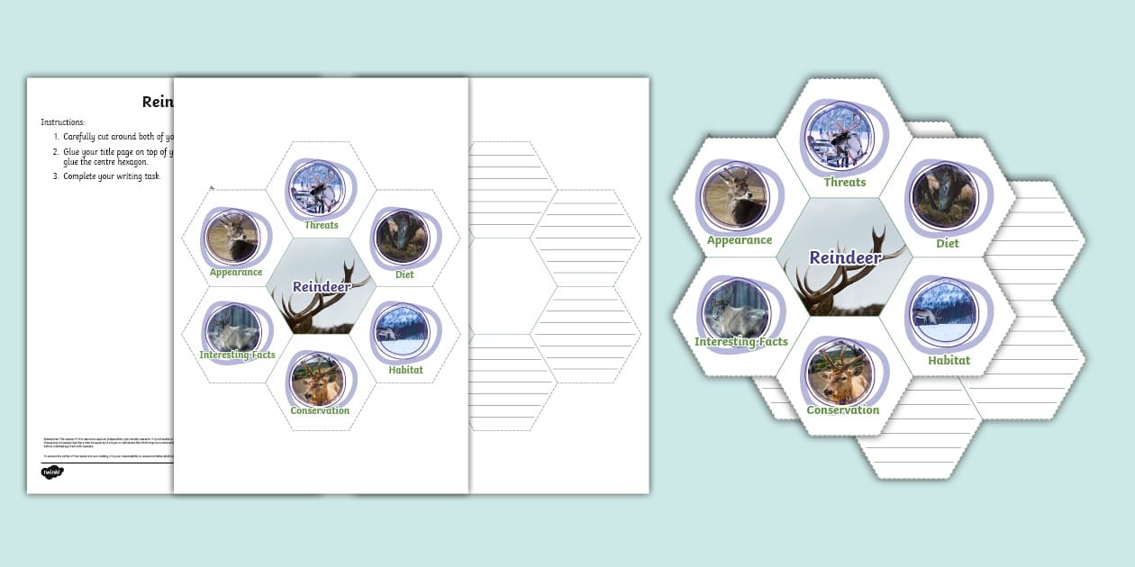 Reindeer Hexagon Writing Template (teacher made) - Twinkl