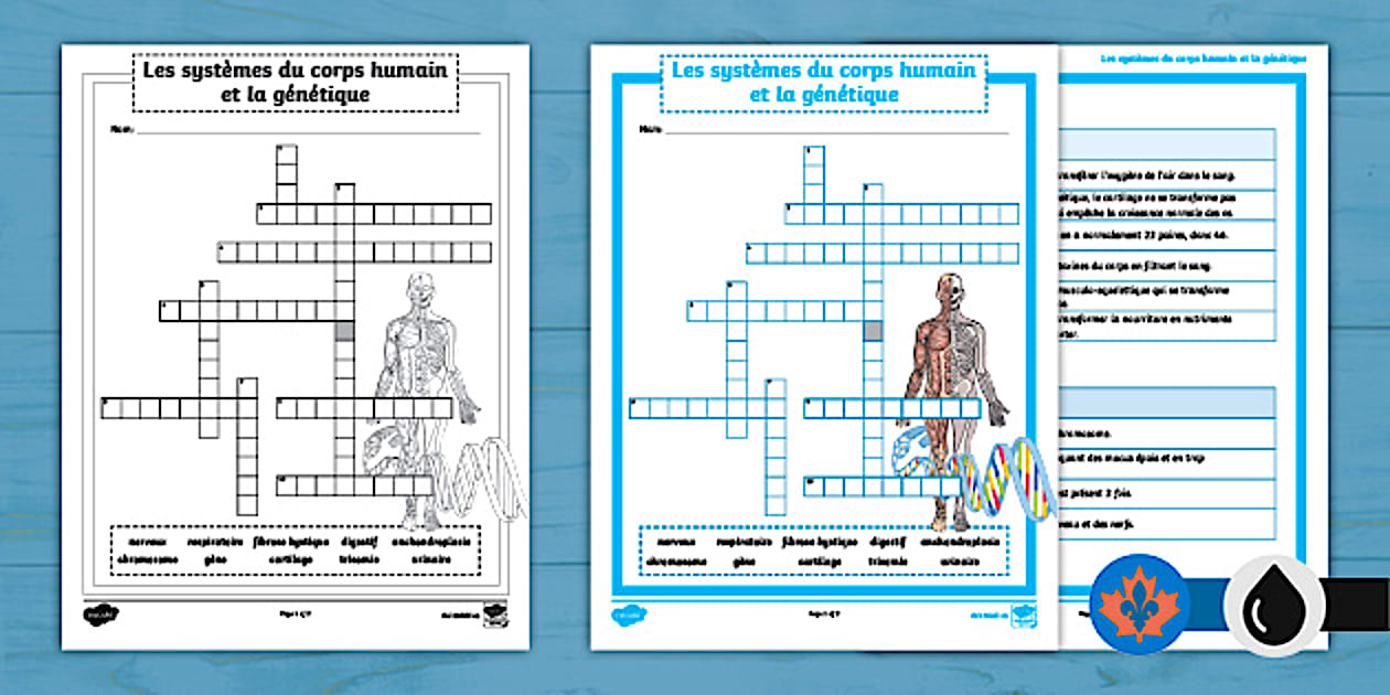 Genetic And Body Systems Crossword French (teacher made)