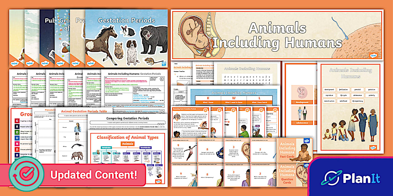 Science: Animals Including Humans Year 5 Unit Pack - Twinkl