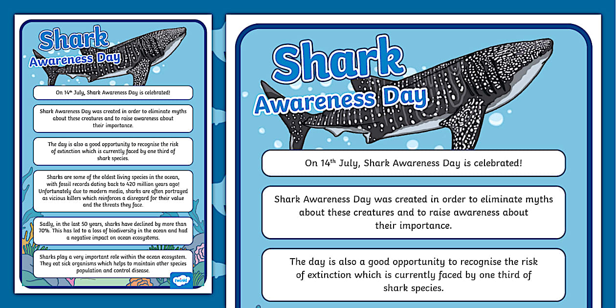 Shark Awareness Day Facts Display Poster - Twinkl