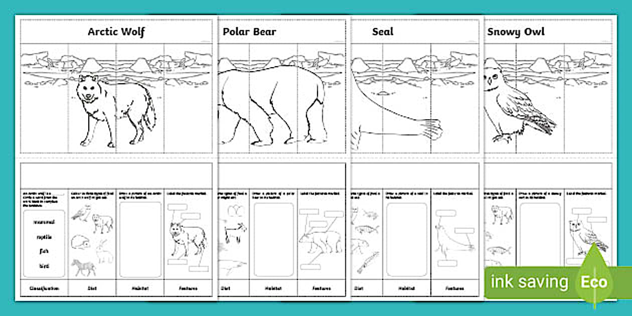 Arctic Animals Flap Book (teacher made) - Twinkl
