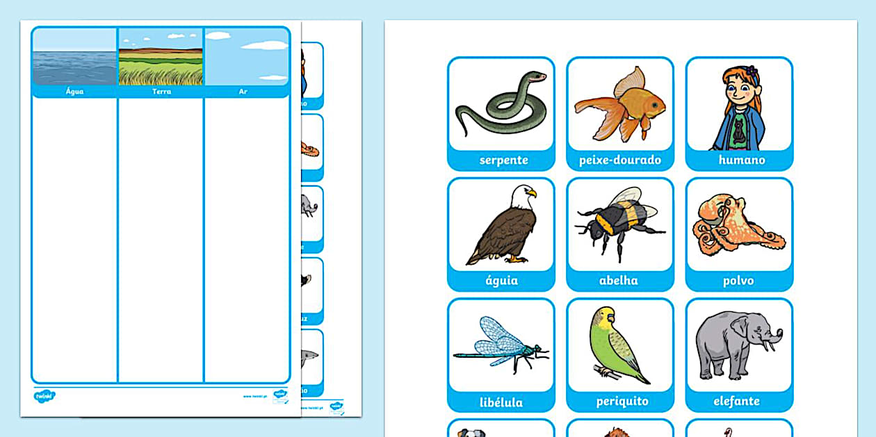 Onde eu vivo? - Atividade sobre os animais | Twinkl - Twinkl