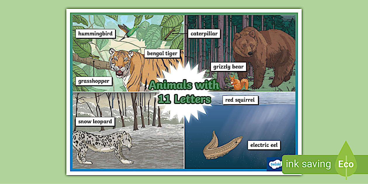 Animals with 11 Letters Word Mat (teacher made) - Twinkl