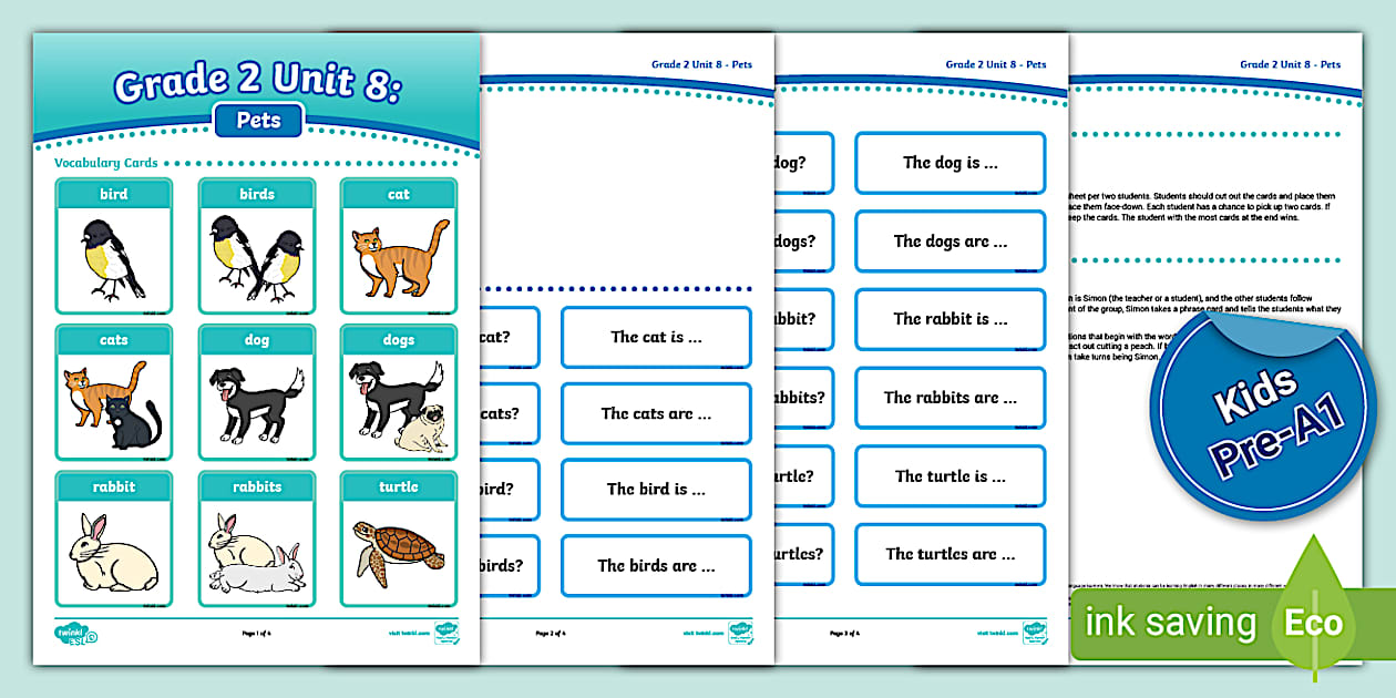 Turkey Curriculum English Vocab Cards: Grade 2 Unit 8 (Pets)