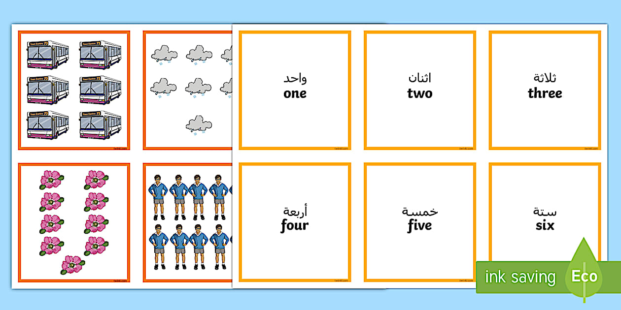 Number Word and Picture Zero to Ten Matching Cards Arabic/English