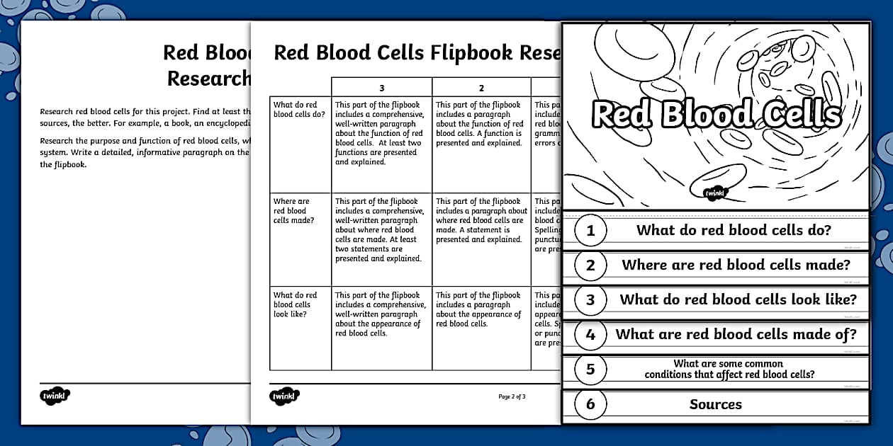 Red Blood Cells Flipbook Research Project and Rubric