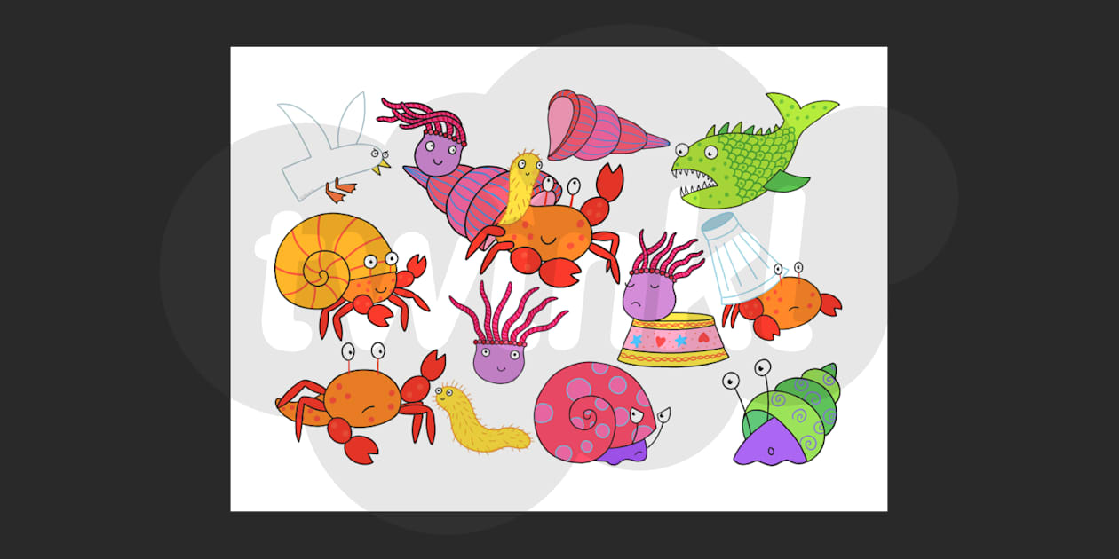 sharing a shell colouring