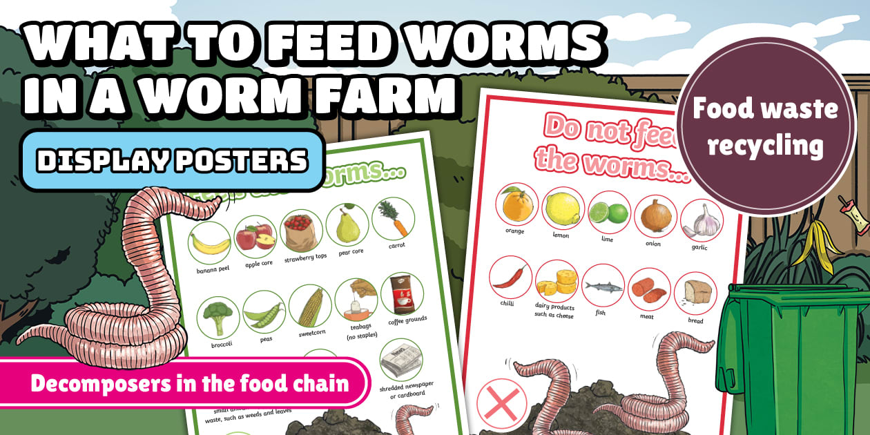 Worm Farm Poster for Sustainability Classroom