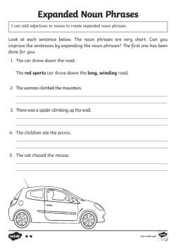 Expanded Noun Phrases Differentiated Worksheet | English