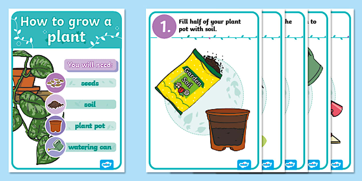 ‘What Plants Need to Grow’ Posters (Teacher-Made)