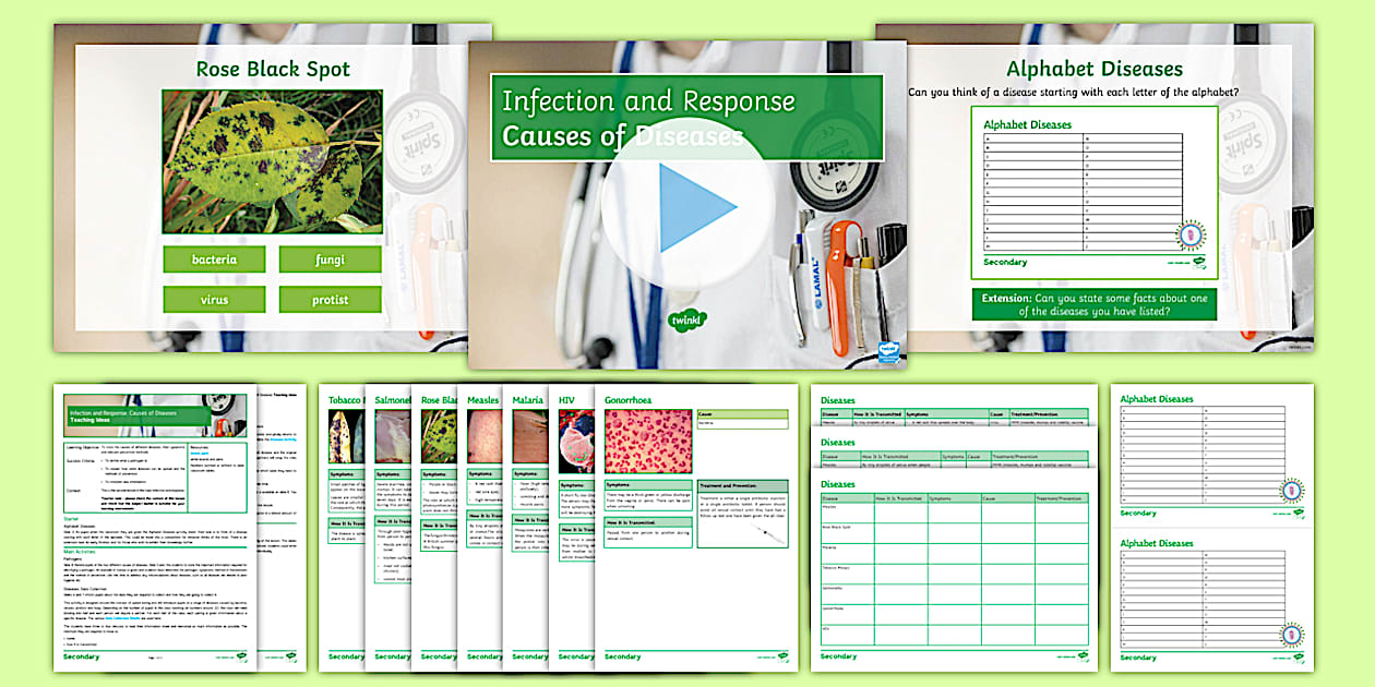 AQA Infection and Response Lesson 2: Causes of Diseases