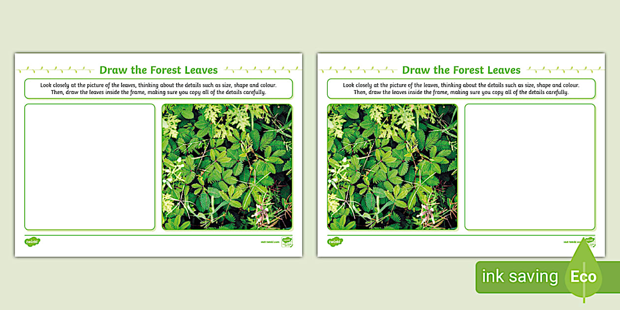 Draw the Forest Leaves Art Activity (teacher made) - Twinkl