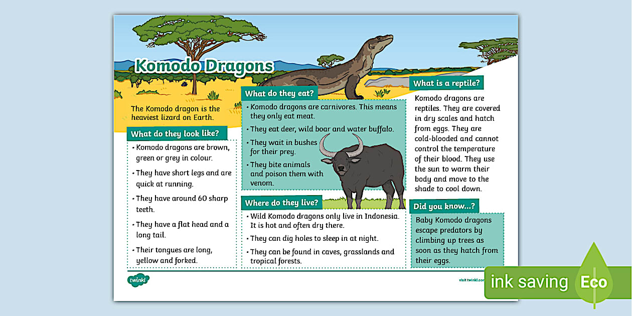 Komodo Dragon Fact File - Twinkl - KS1 (teacher made)