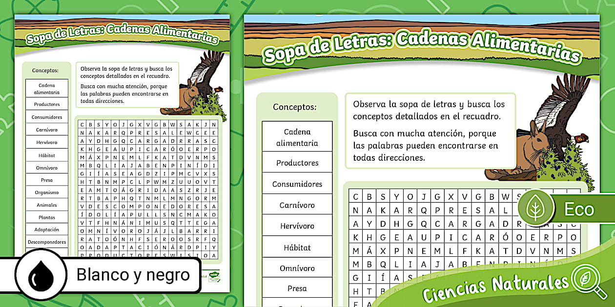 Sopa de Letras Cadenas Alimentarias (teacher made) - Twinkl