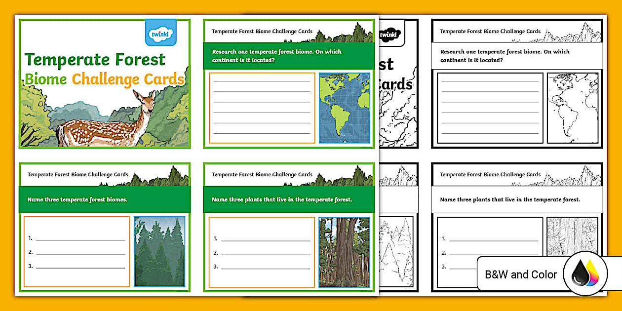 Temperate Forest Biome Challenge Cards for 3rd-5th Grade