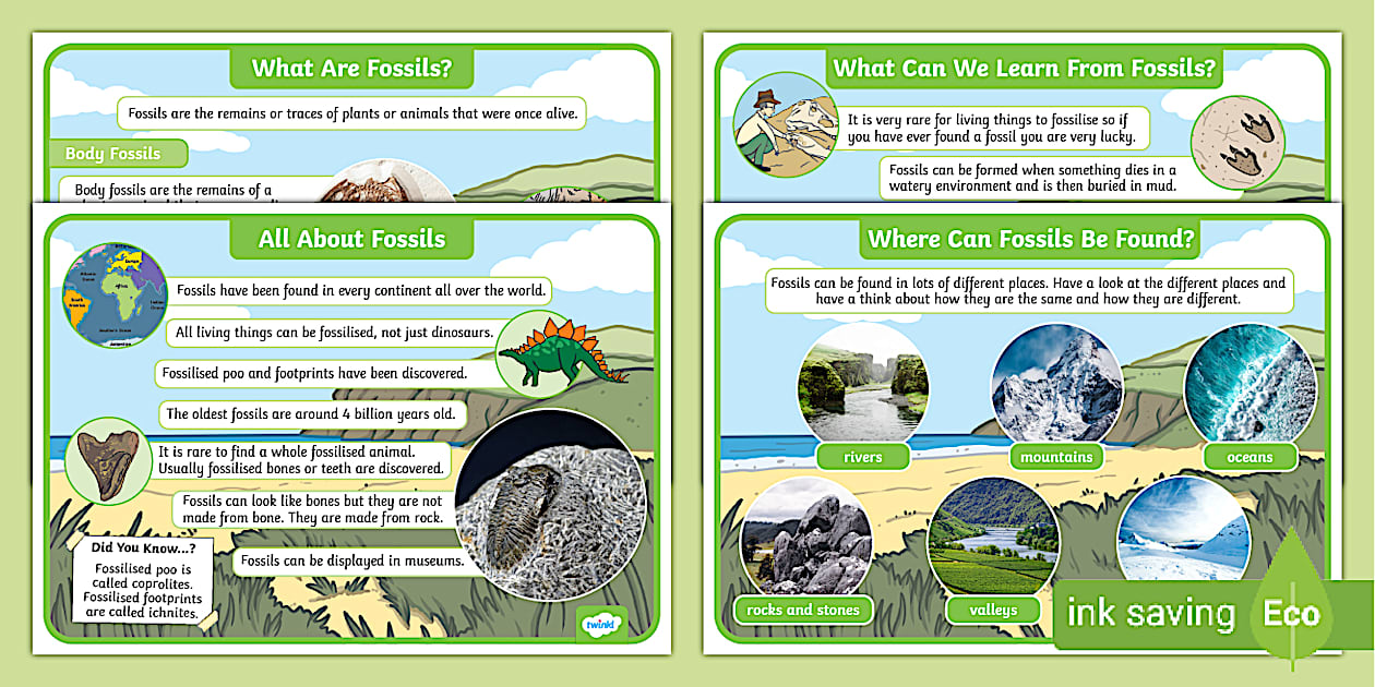 EYFS All About Fossils Fact Files (Hecho por educadores)