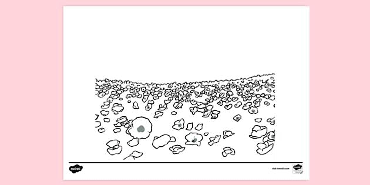 Poppy Field Colouring Sheets | Colouring Pages - Twinkl