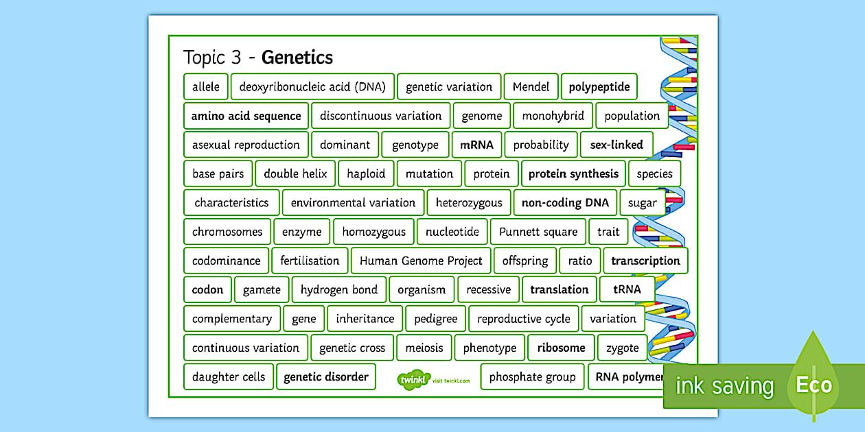 Edexcel Biology Genetics Word Mat (Teacher-Made) - Twinkl