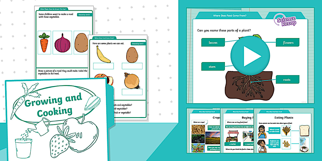 Stepping into Science: Year 1: Summer: Block 3: Growing and Cooking ...