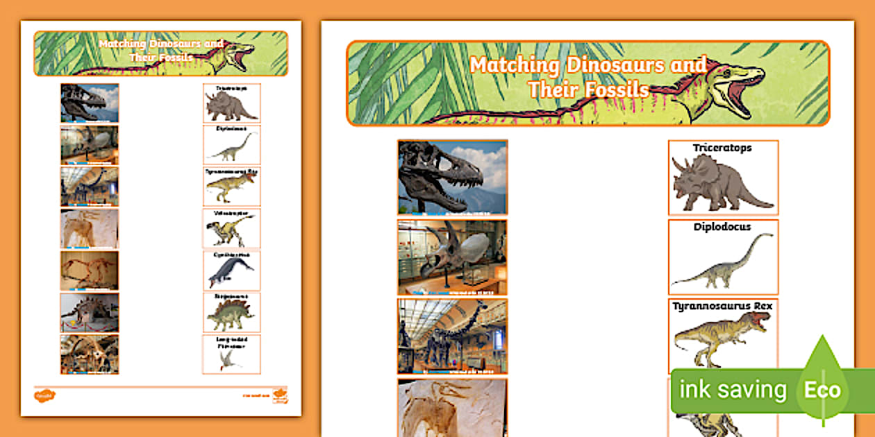 Matching Dinosaurs and Their Fossils Worksheets - Twinkl