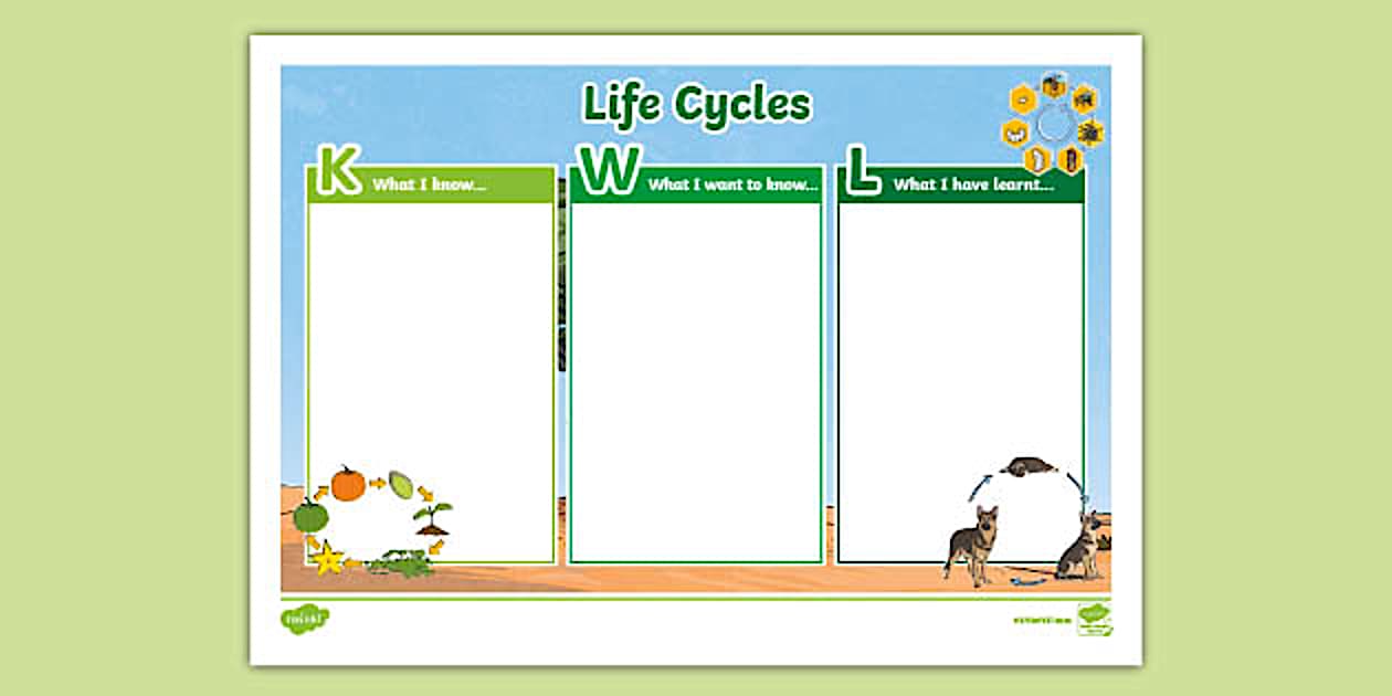 Life Cycles Topic KWL Grid (teacher made) - Twinkl