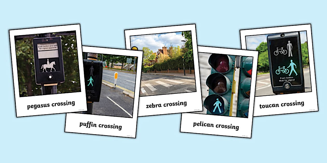 Types of Road Crossings Instant Photo Style Display Images