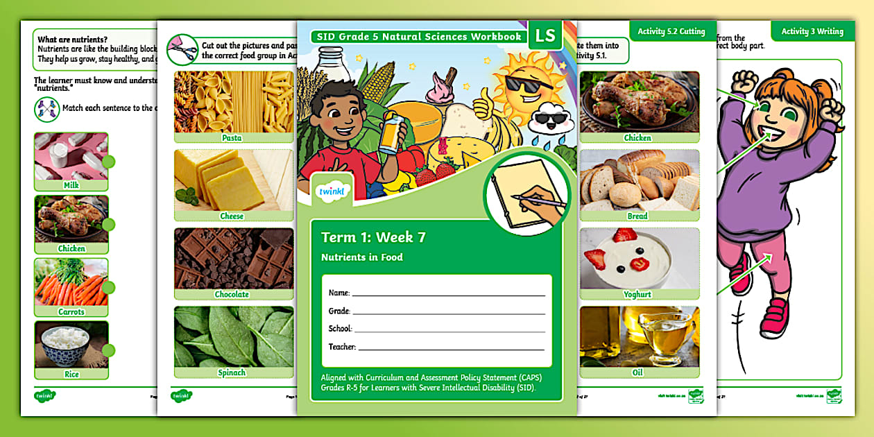 SID: Grade 5 Natural Sciences Booklet Term 1 Week 7 LS